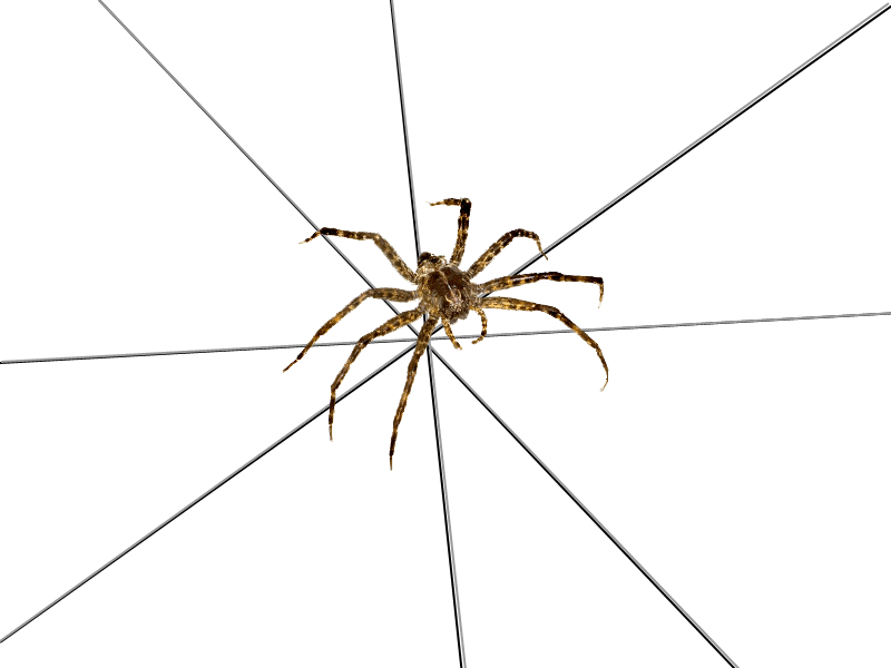 Waterloo Media Productions Web Design Graphic Design and Web Designers